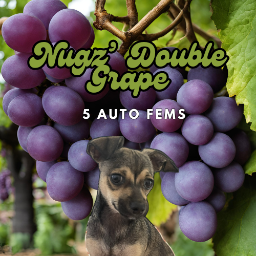 Nugz’ Double Grape – Nancy's Own